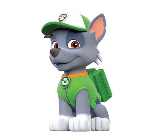 Paw patrol Flashcards | Memorang