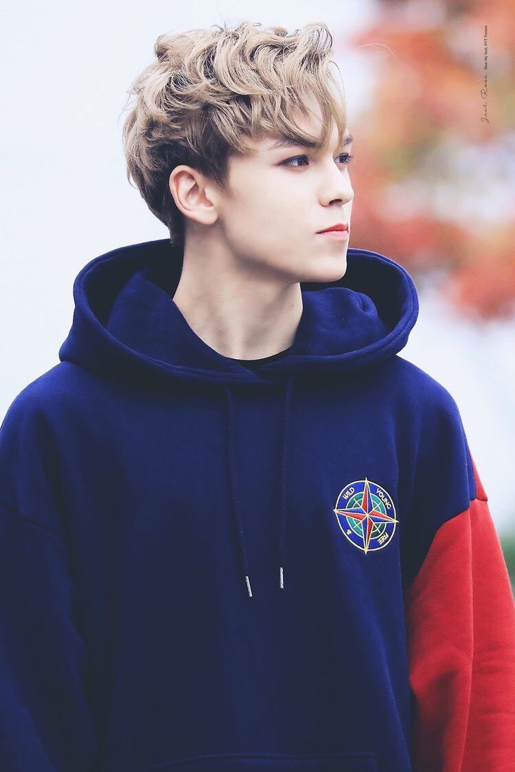 seventeen members Flashcards | Memorang