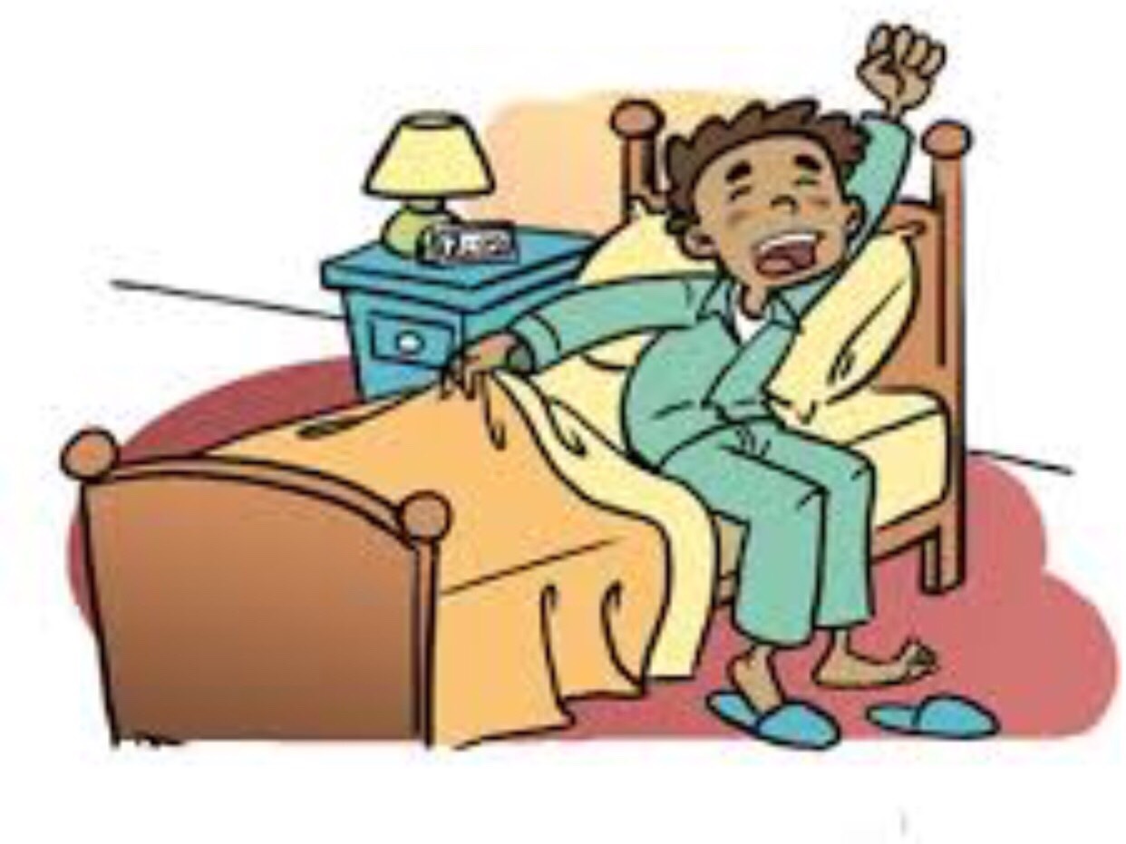 Tagesablauf Daily Routine рџњј Flashcards Memorang