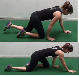 Crawling Exercises Flashcards | Memorang