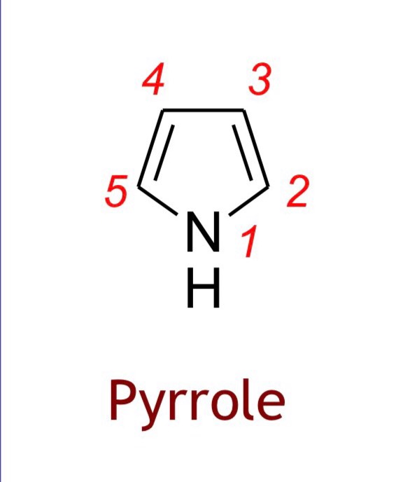 Five-membered rings Flashcards | Memorang