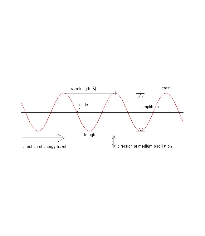 Introduction to waves Flashcards | Memorang