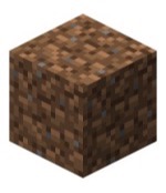 Minecraft Blocks And Mobs Flashcards | Memorang