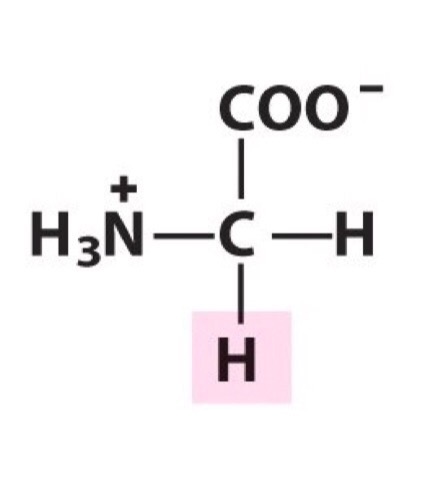 Amino acid Lewis structures Flashcards | Memorang