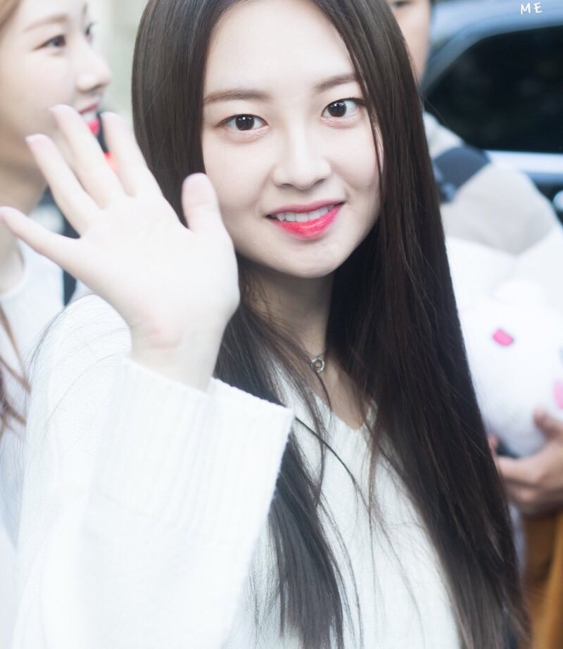 momoland names and faces Flashcards | Memorang