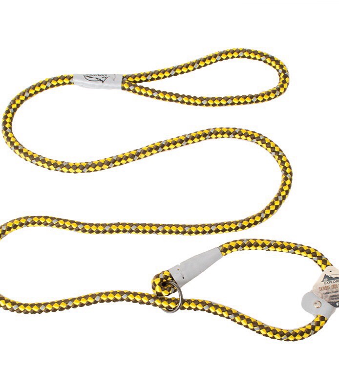 Dog Grooming Study Guide Flashcards | Memorang