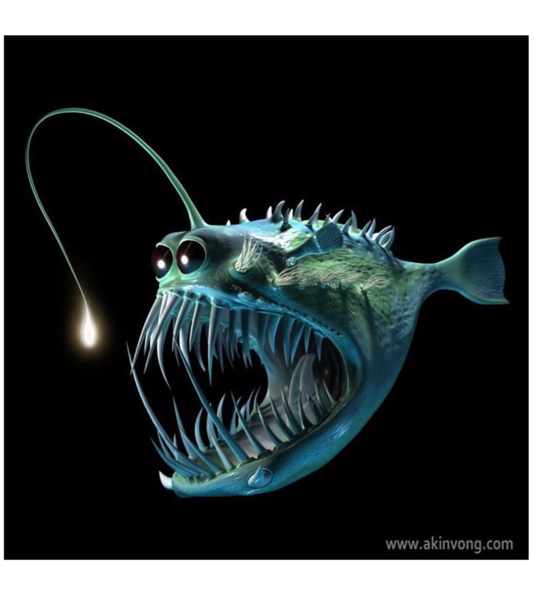 Fish types Flashcards | Memorang