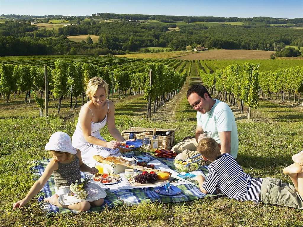 The Picnic Flashcards | Memorang