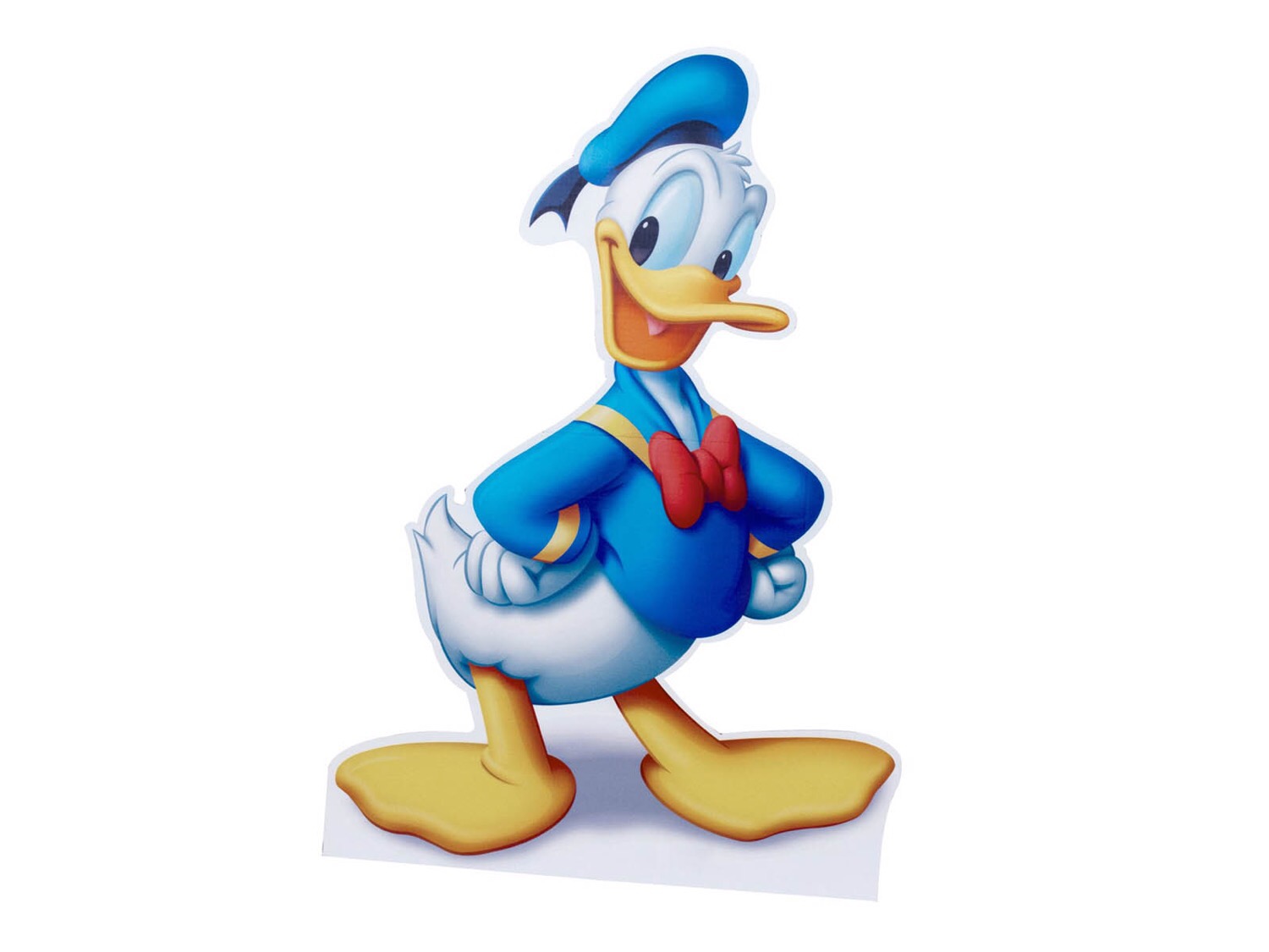 Every Donald Duck Character Flashcards | Memorang