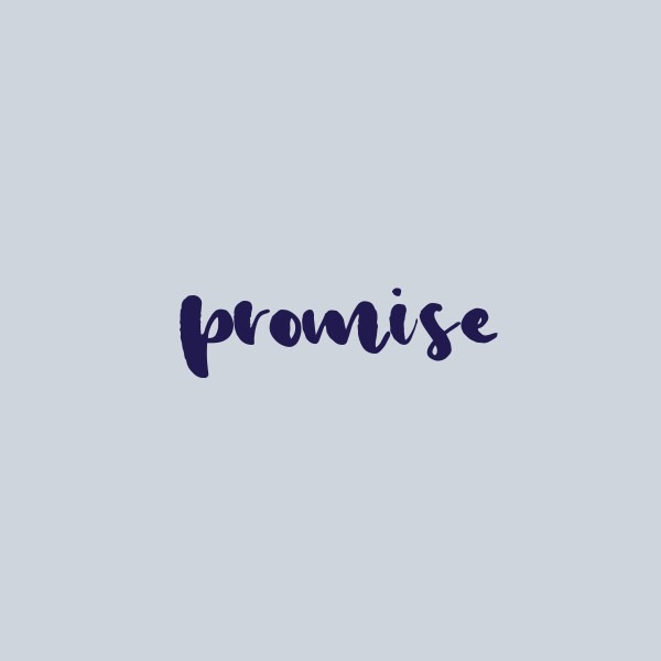 Promise; P.JM Flashcards | Memorang