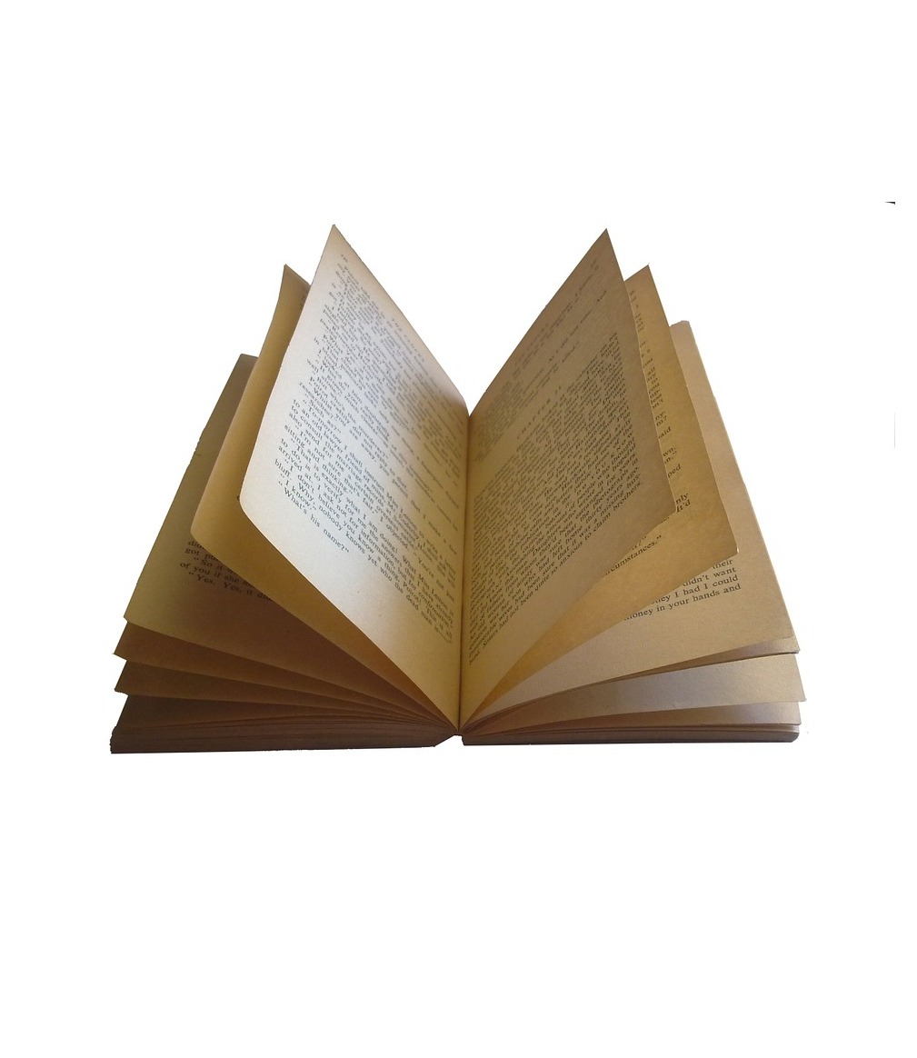 NEF (Elementary) - Lesson 2A Flashcards | Memorang