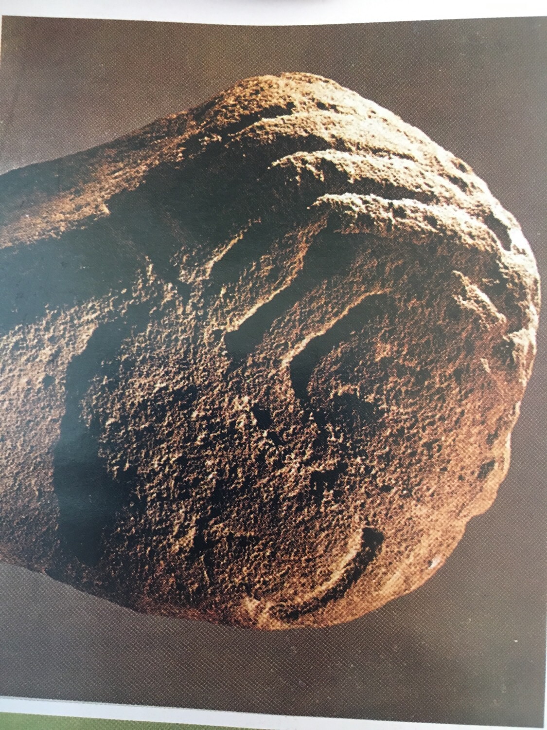 Prazgodovinska umetnost 1 Flashcards | Memorang