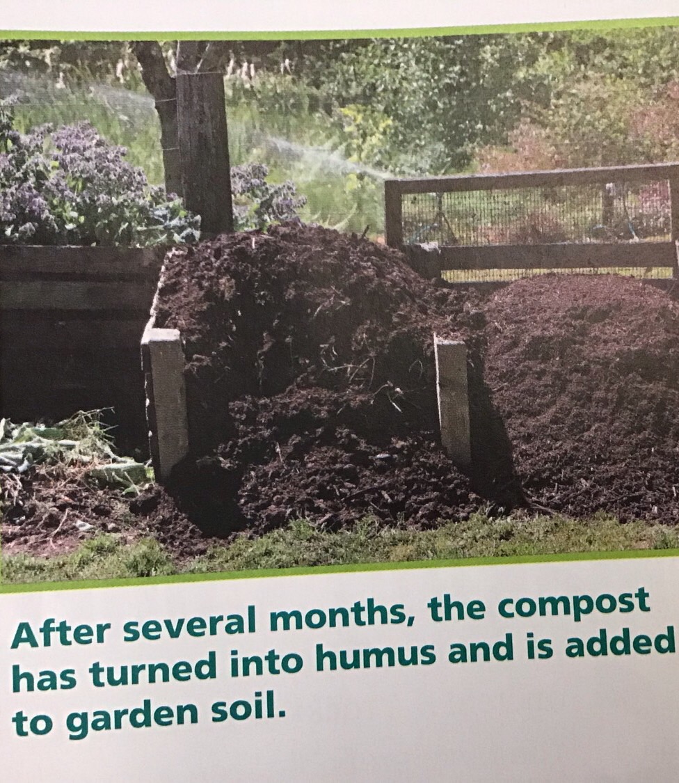 Soils, rocks, and landforms Flashcards | Memorang