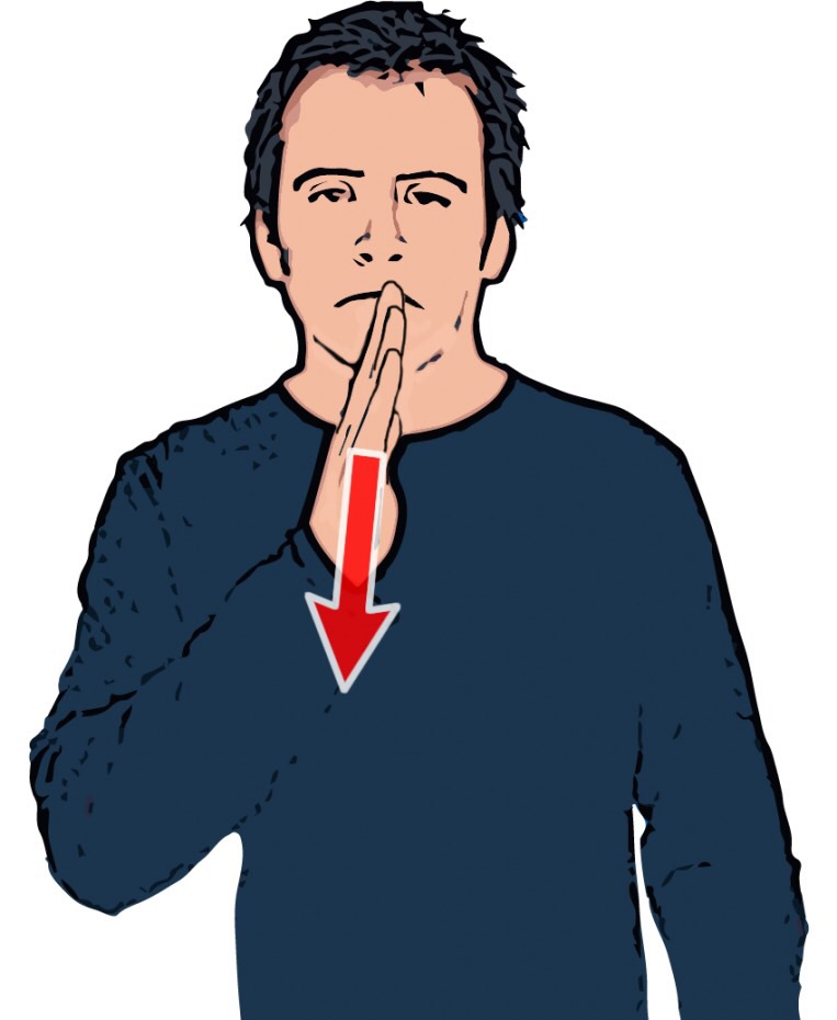 Simple feelings and emotions BSL Flashcards | Memorang