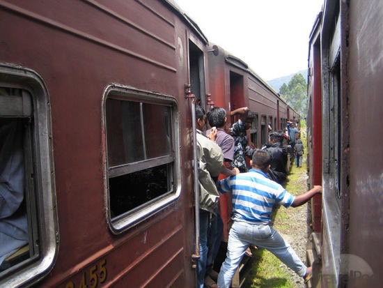 Le train et la gare MOTS2 Flashcards | Memorang