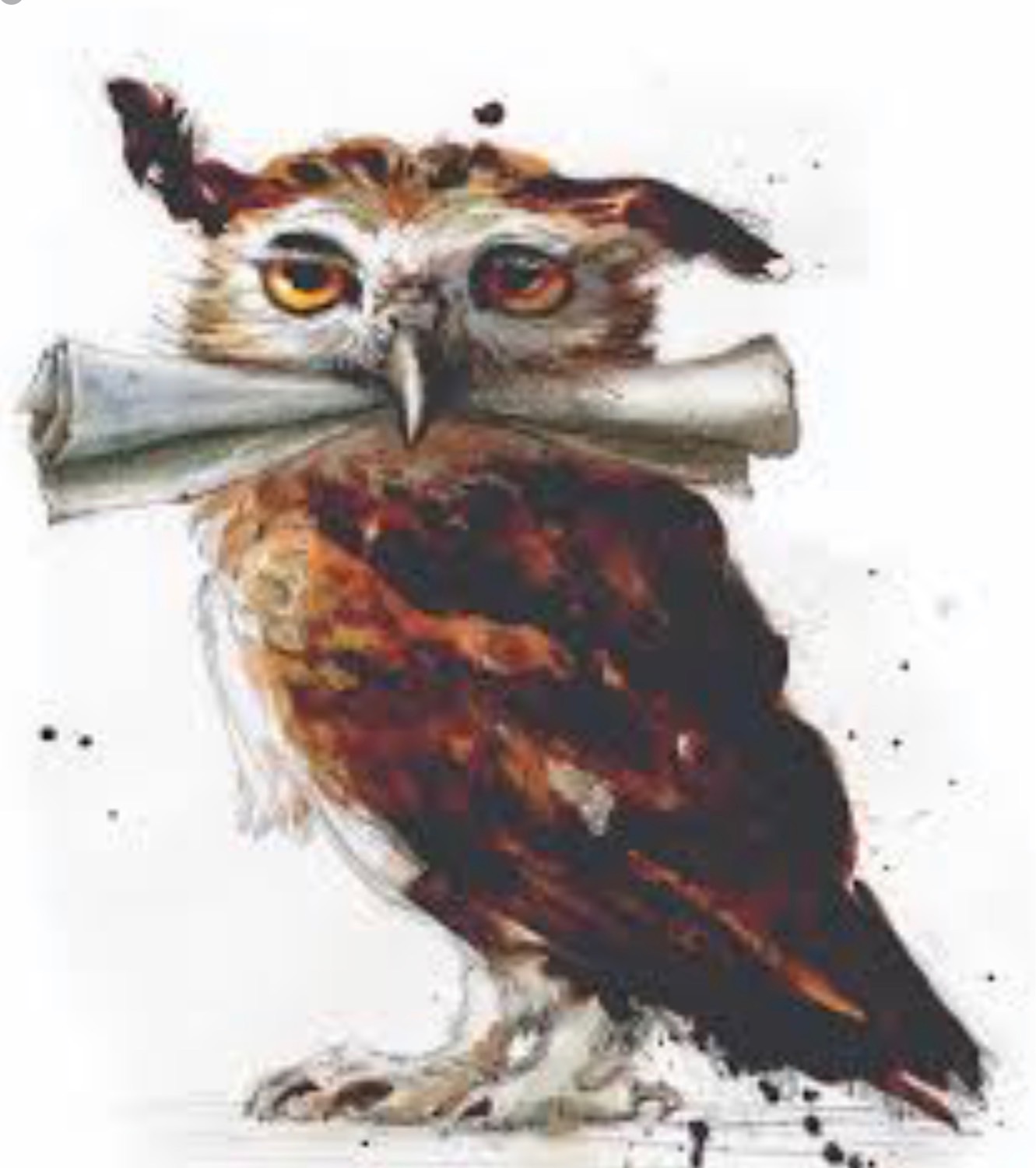 Harry Potter CHAPTER 1 ‘THE BOY WHO LIVED’ Flashcards | Memorang