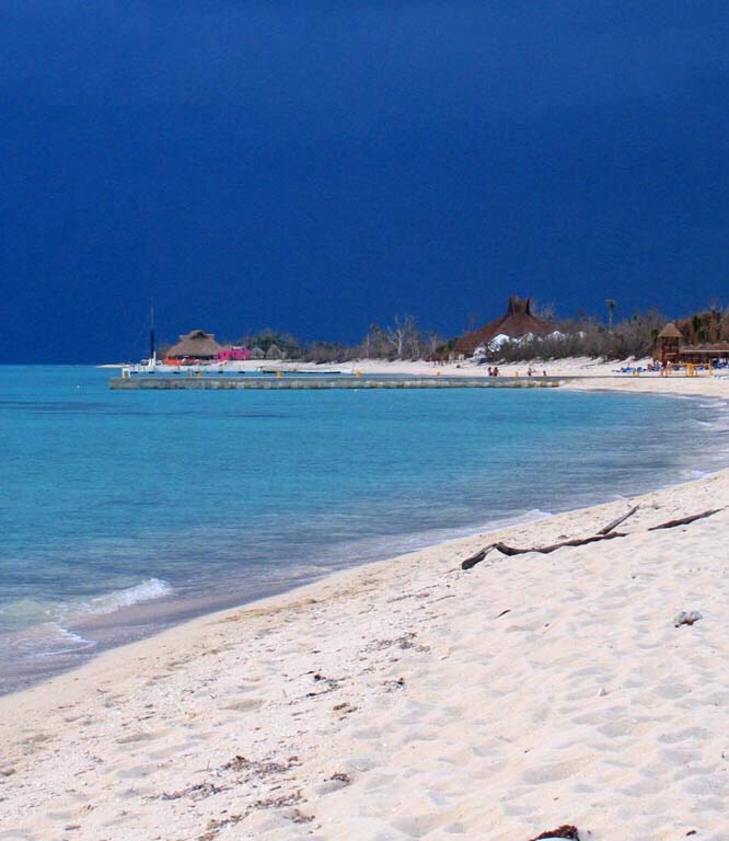 OUT AND ABOUT Flashcards | Memorang