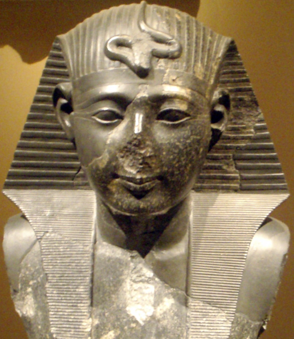 Facts about Ramses II Flashcards | Memorang