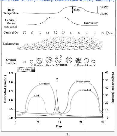 203 - 2: Fertility Control Flashcards | Memorang