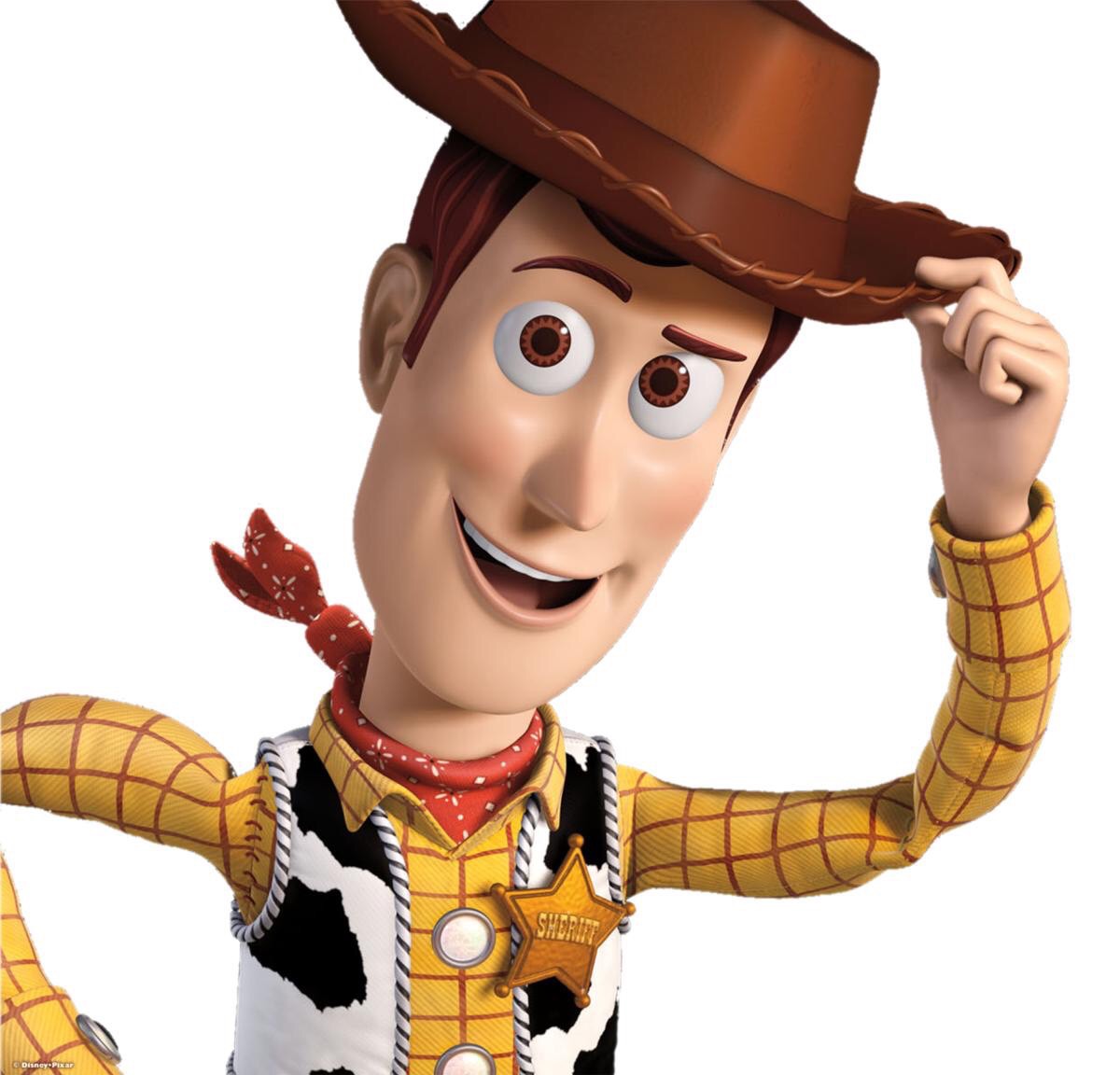 Pixar Main Characters Flashcards | Memorang