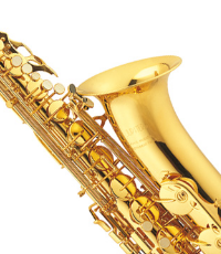 Instrument Galore Flashcards | Memorang