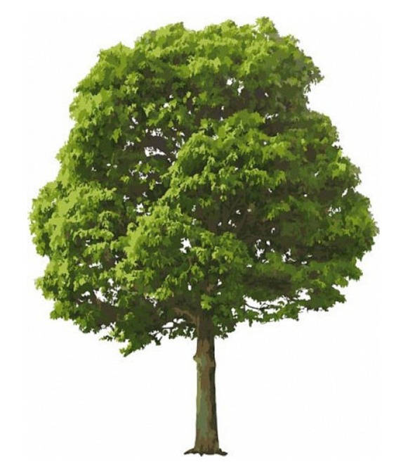 English Class Flashcards Memorang