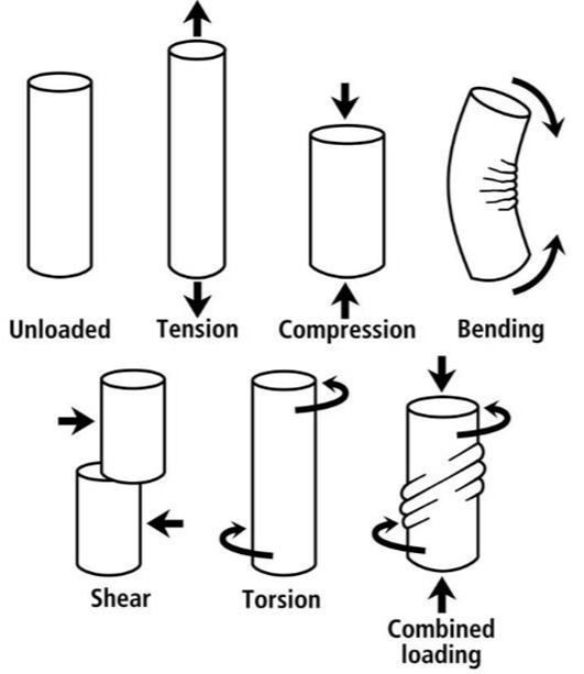 Basic Biomechanics Flashcards | Memorang