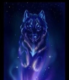 Super wolves Flashcards | Memorang