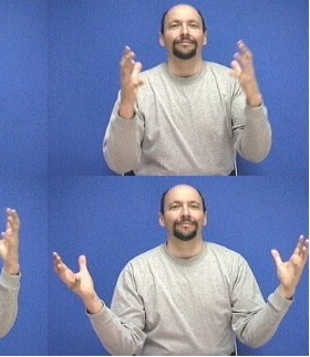 ASL lesson 17 Flashcards | Memorang