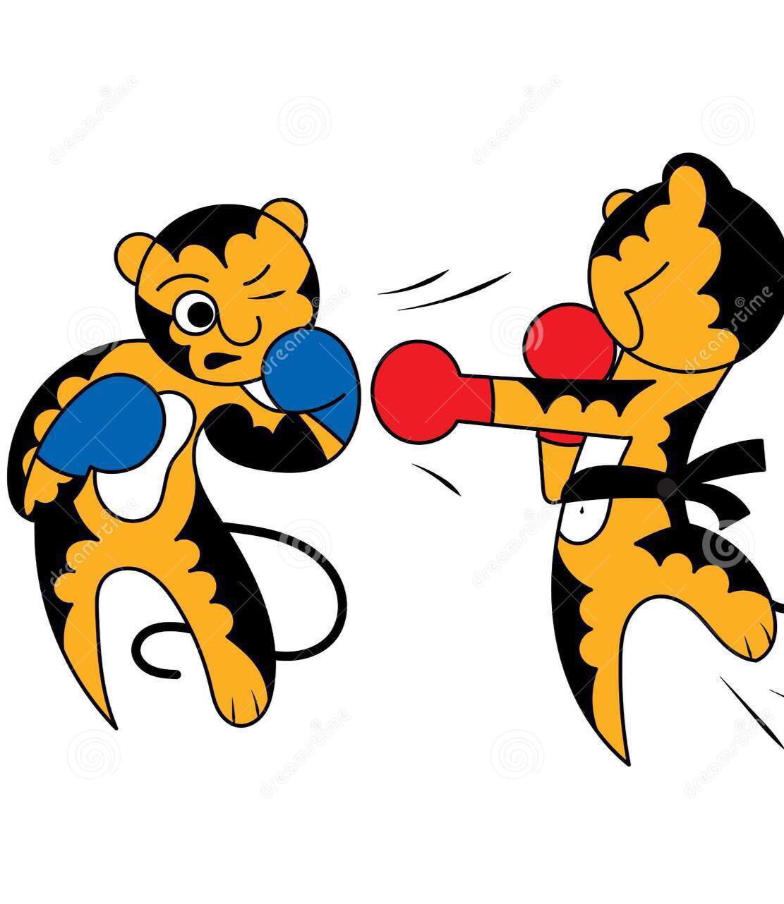 Random Flashcards | Memorang