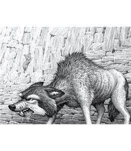 Wolves of the Beyond 2 Flashcards | Memorang