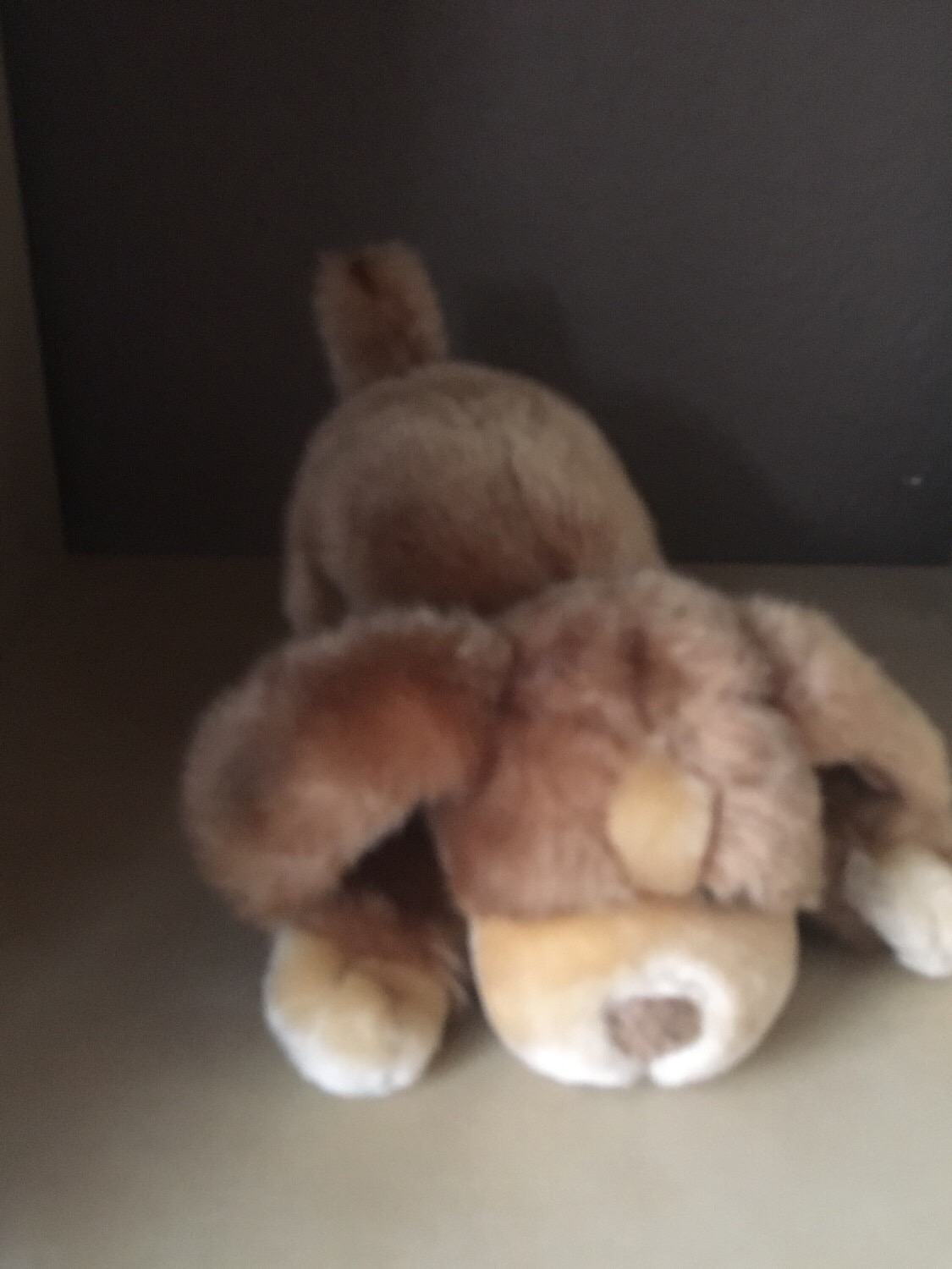 Stuffed Animals Flashcards | Memorang