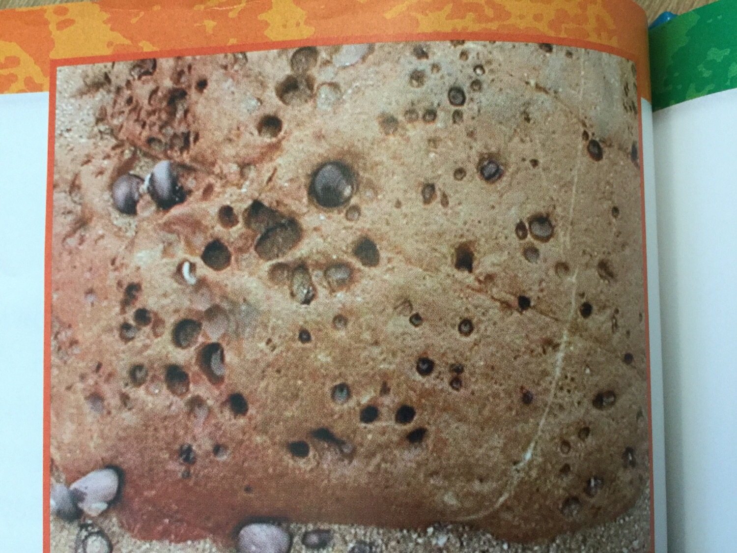 Soil,rocks,and landforms Flashcards | Memorang