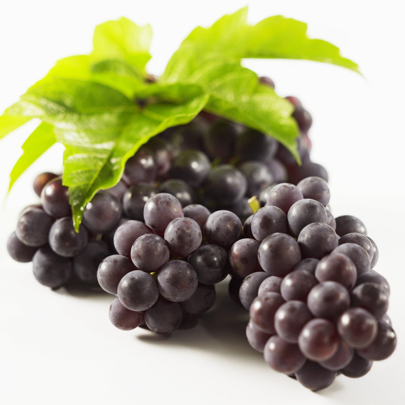 ovoce Flashcards | Memorang