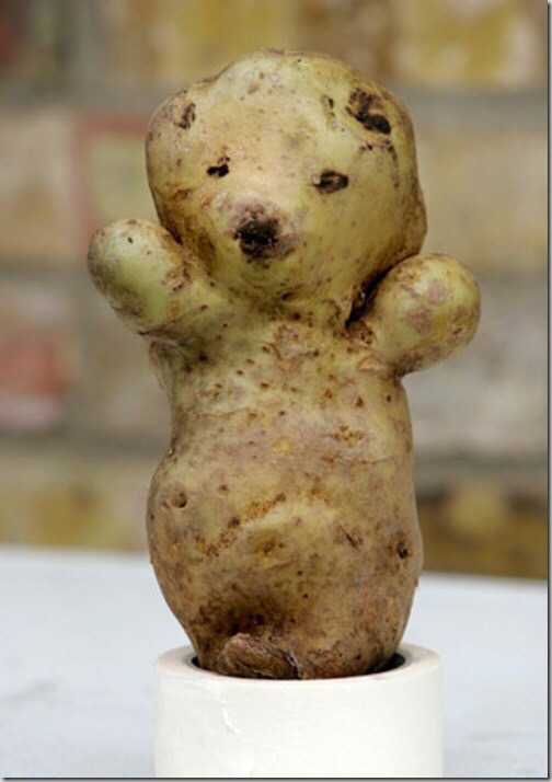 Potatoes that are shaped weird Flashcards | Memorang