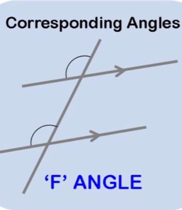 Maths - Parallel line angles & angle properties Flashcards | Memorang