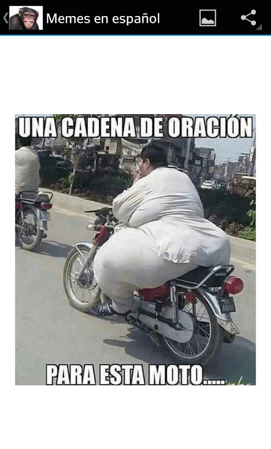 checho Flashcards | Memorang