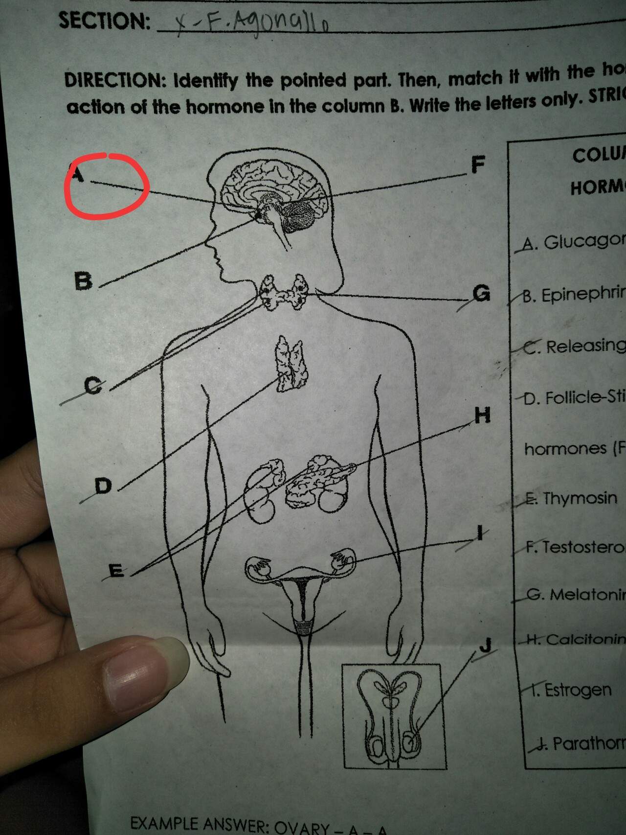 E. S Moving Exam Flashcards | Memorang