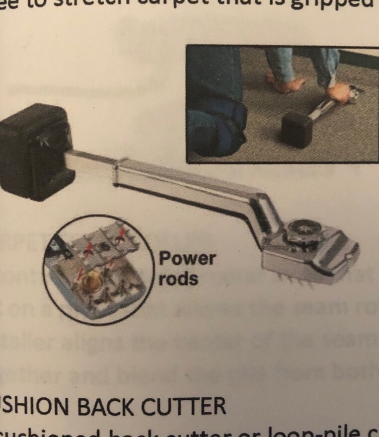 Carpet Flashcards | Memorang