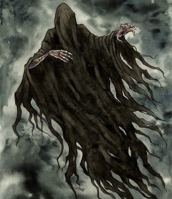 Harry Potter Creatures! Flashcards | Memorang