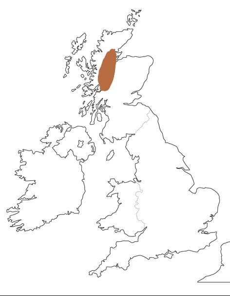 UK upland and highland areas Flashcards | Memorang