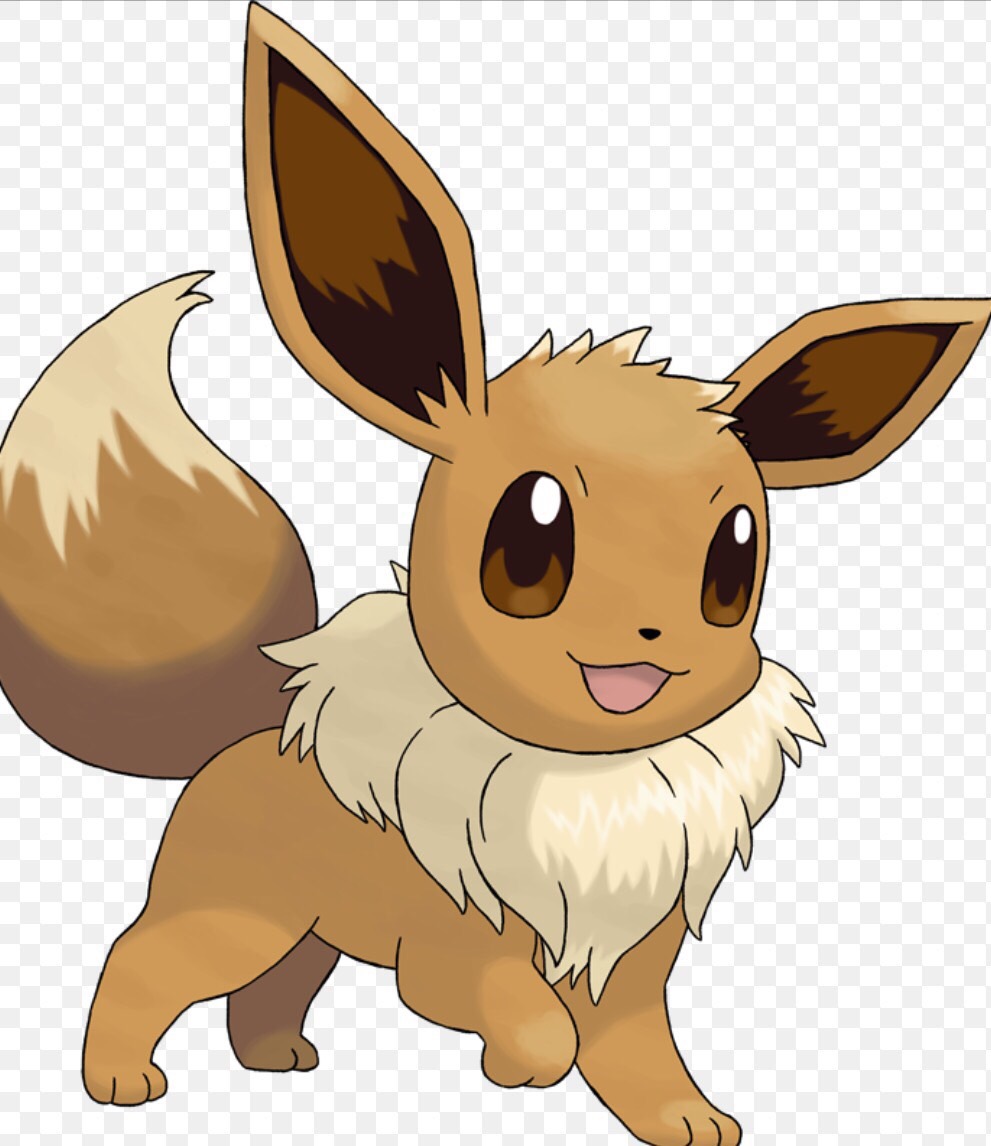 Eevee Evolutions Flashcards Memorang
