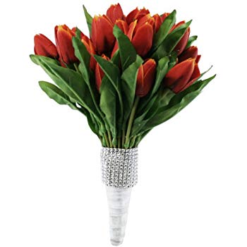 TULP Flashcards | Memorang