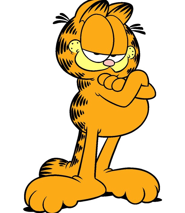 La chat et la lune Flashcards | Memorang