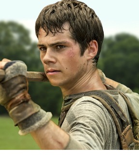 Maze runner Flashcards | Memorang