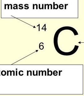 Chemistry Chart Study Guide Flashcards | Memorang