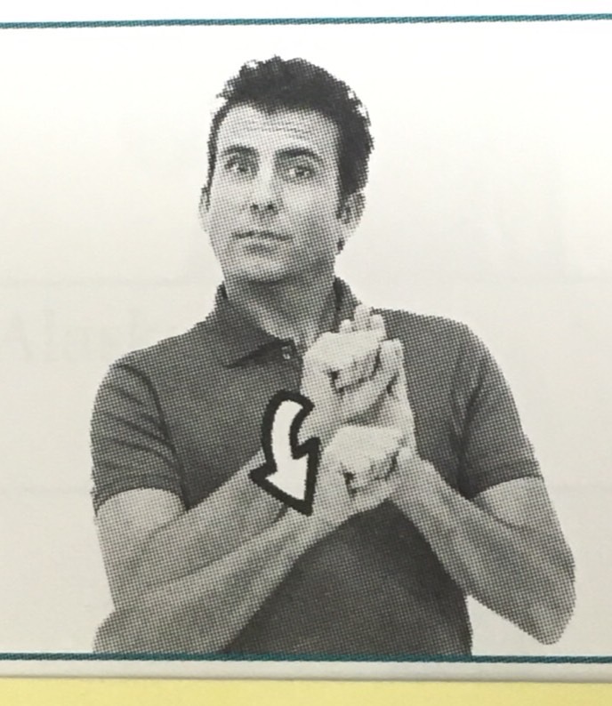 ASL Provinces, Cities, States Flashcards | Memorang