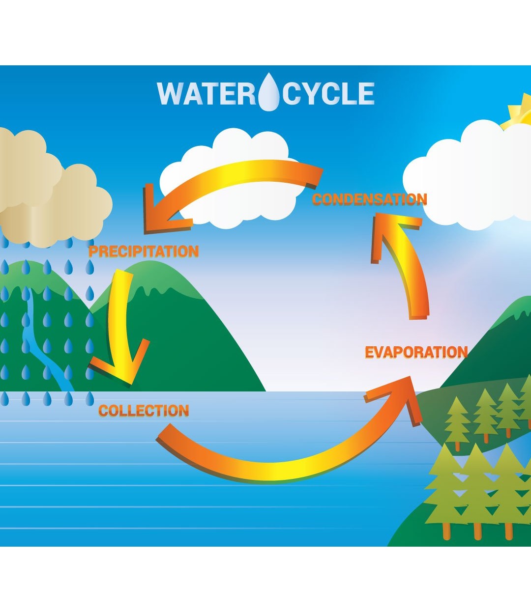 Hydrosphere Flashcards | Memorang