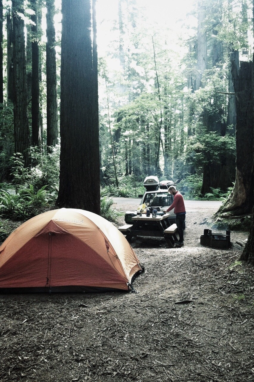 Go camping Flashcards | Memorang