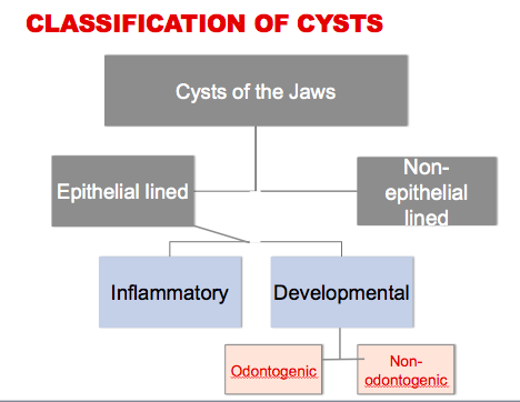 Cyst Classification Flashcards | Memorang